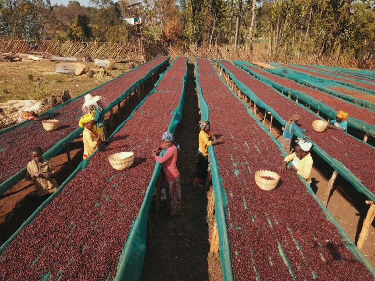 About Blessbean_ko – blessbean