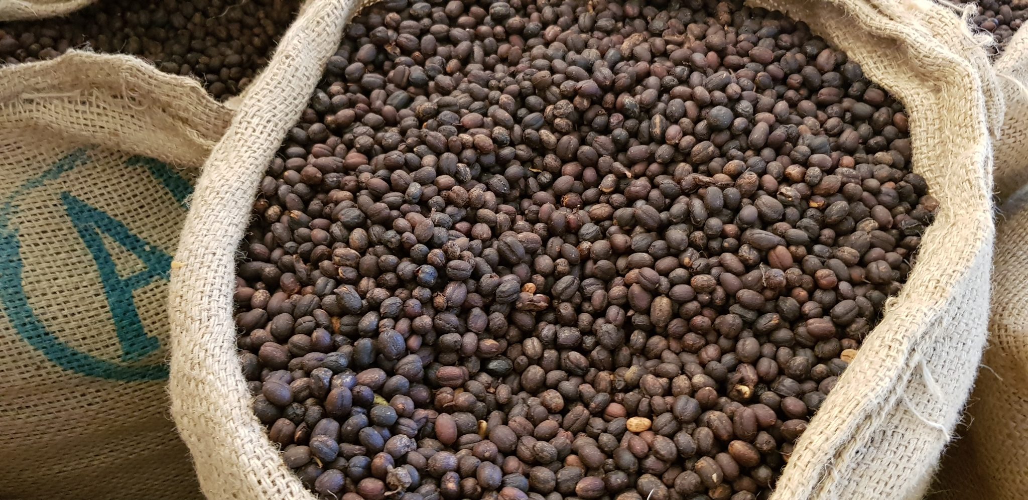 About Blessbean_ko – blessbean