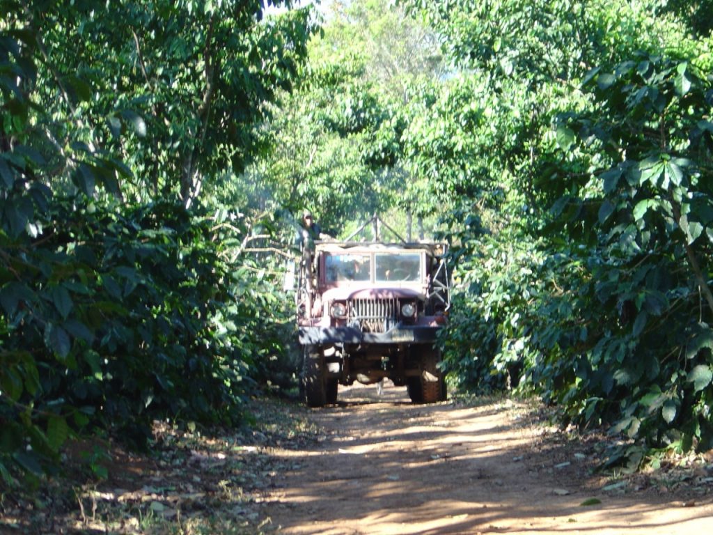 About Blessbean_ko – blessbean