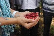 About Blessbean_ko – blessbean