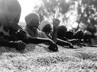 About Blessbean_ko – blessbean